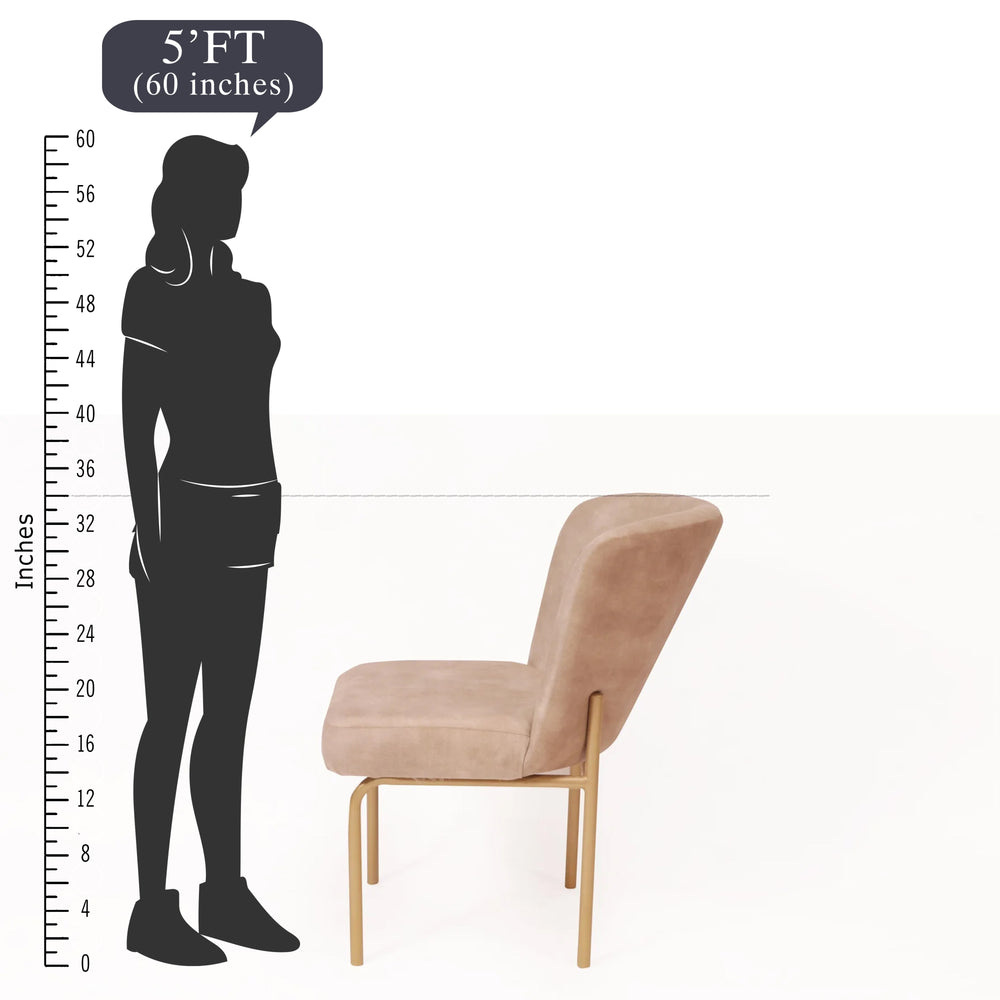 Upholstered Golden Chair